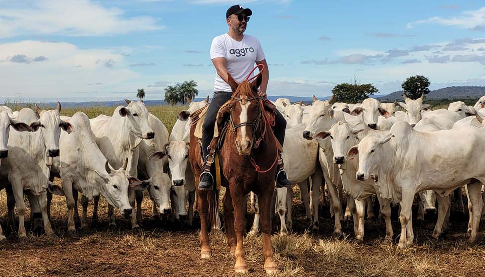 Aggro Franquia: Rede Inova com Modelos Campo e Loja